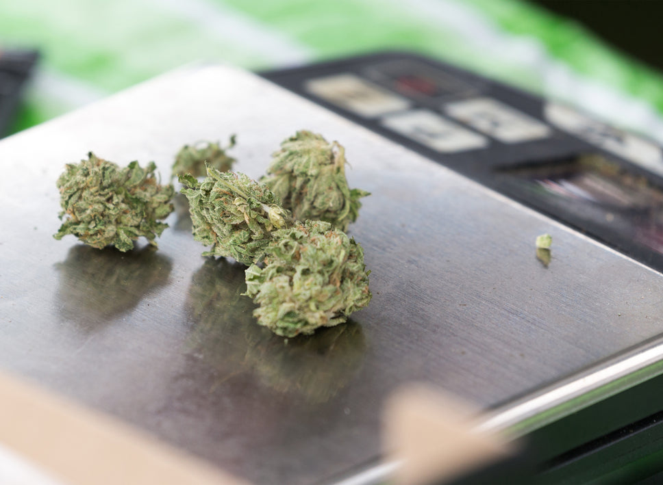 Breaking Down Average Prices Of Weed From A Gram To A Pound – Gamut ...
