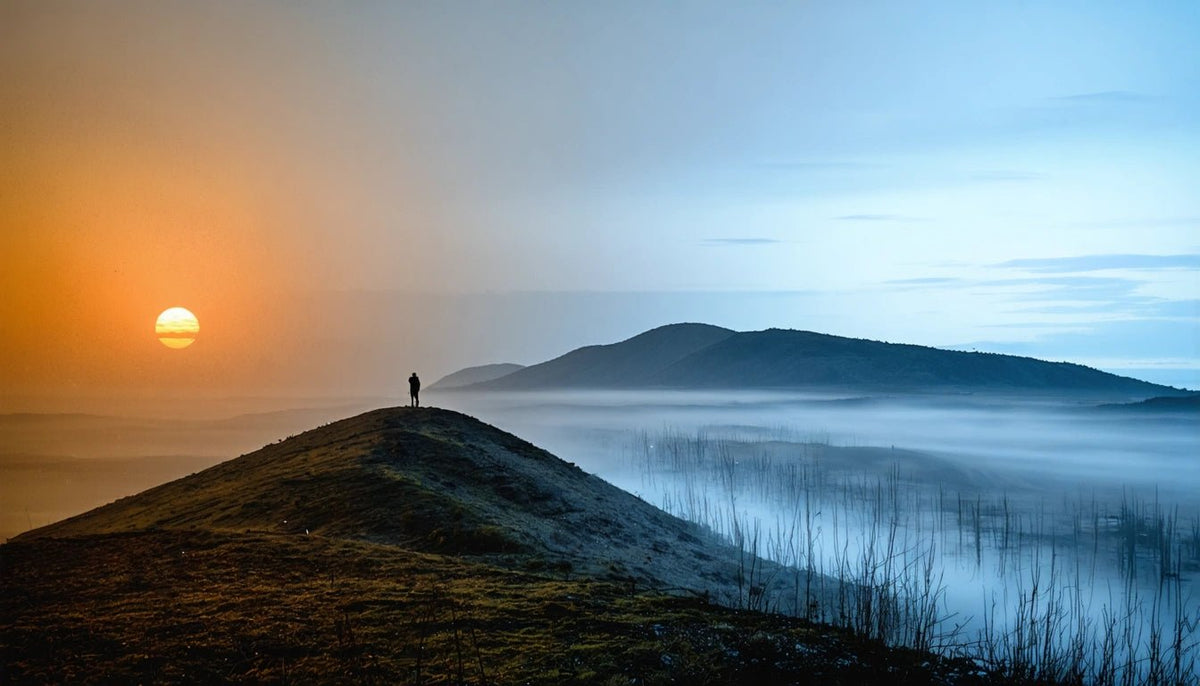 What Does JPG Stand For? Understanding the File Format