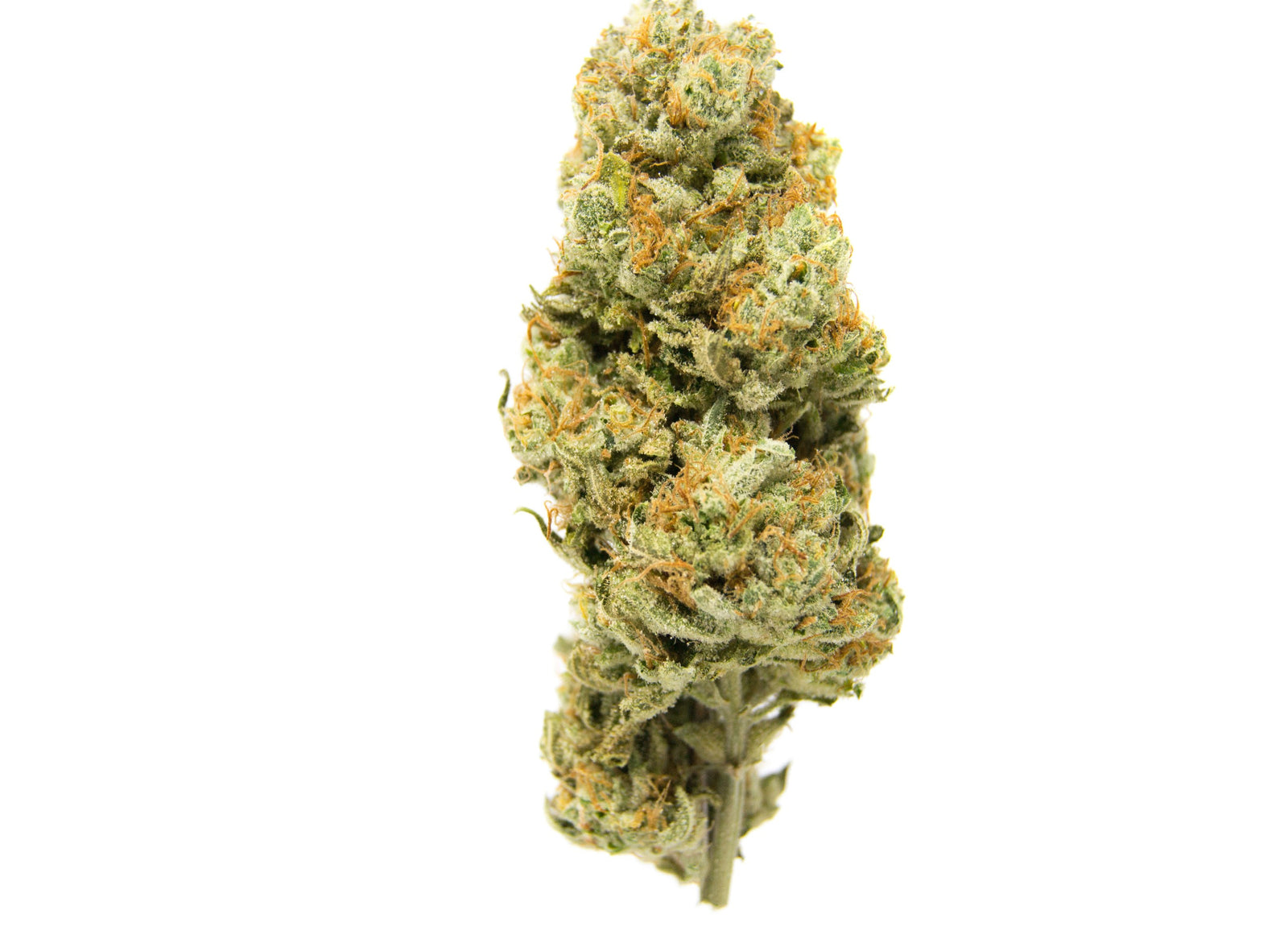 Award Winning: Gary Payton Hybrid Strain – Gamut Packaging
