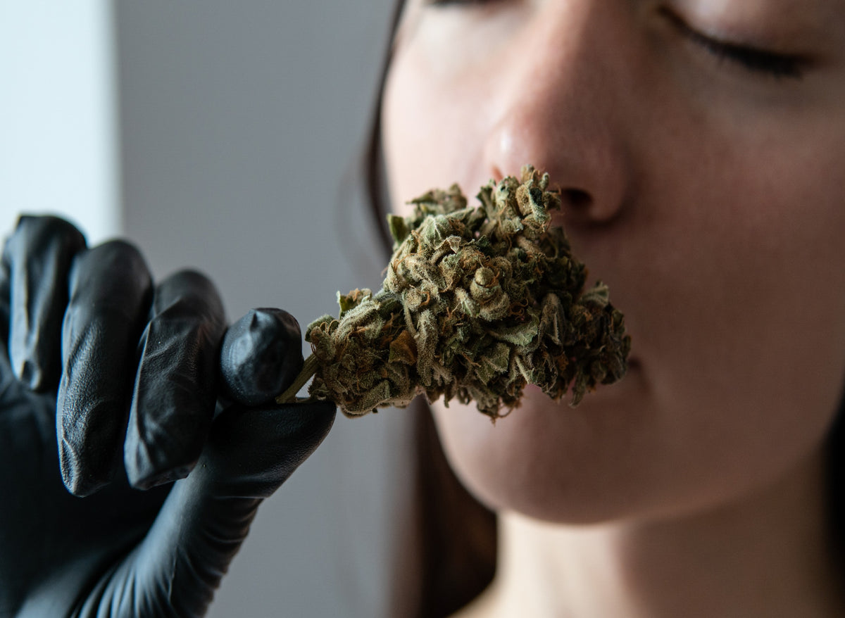 How to Tell If Weed Is Good or Bad: A Comprehensive Guide