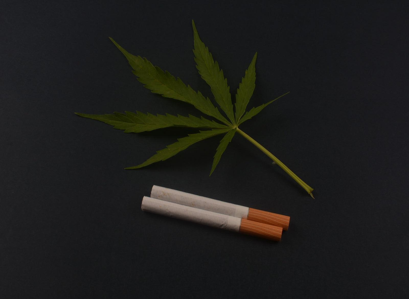 A Guide To The Top 5 Best Marijuana Pre-Roll Companies