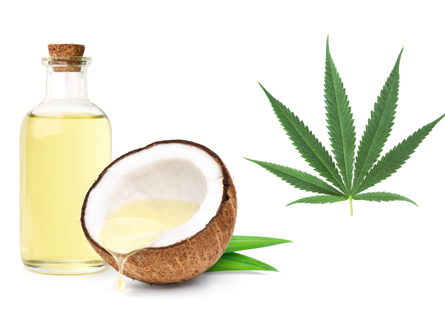 An In-Depth Guide To Making Cannabis-Infused Coconut Oil