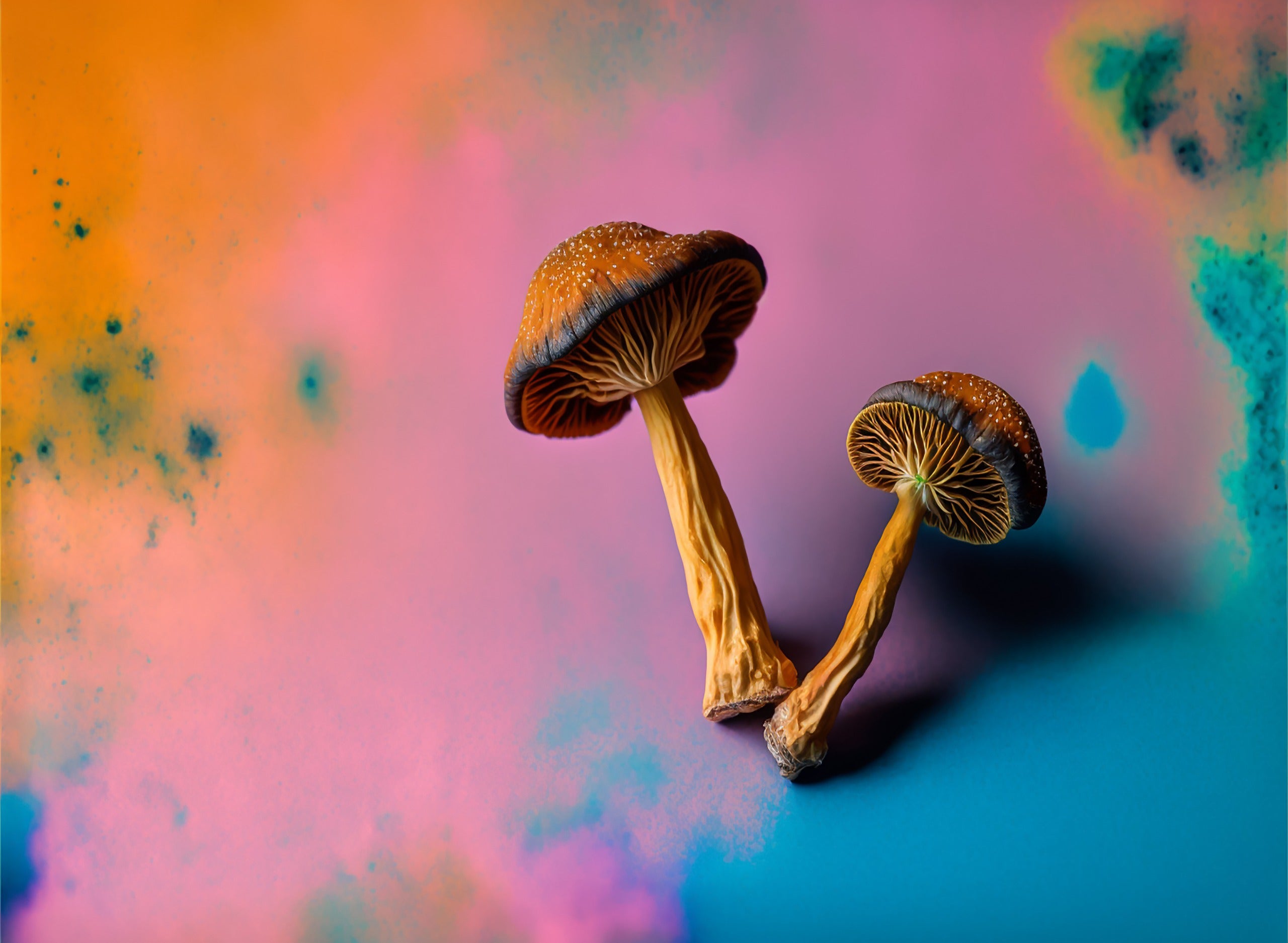 Psychiatry's New Frontier: Exploring Shrooms & MDMA